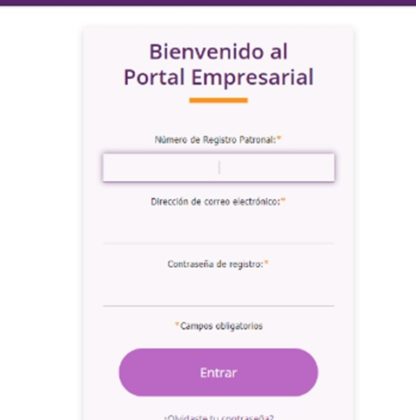 Ficha de pago en el portal empresarial de INFONAVIT - Contador Contado